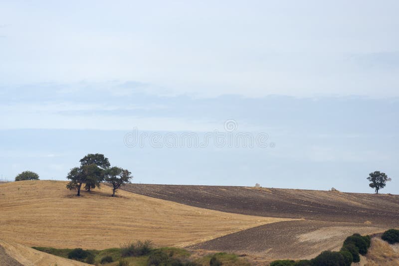 Panoramic Views of the Country in Apulia Italy Stock Image - Image of ...