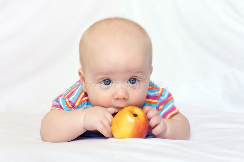 Fall Baby Cornucopia stock image. Image of horn, avocado - 27750511