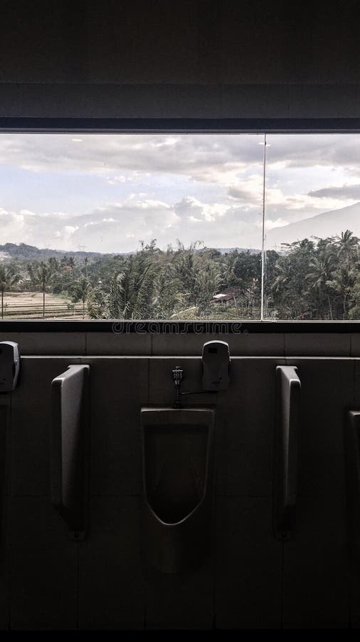 Beatiful Rest Room stock photo. Image of love, toilet - 202106680