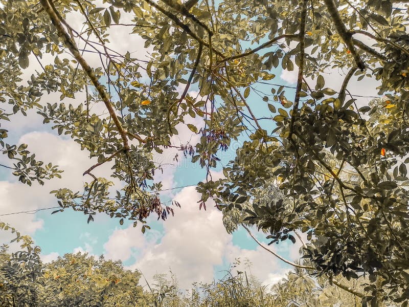 Beatiful sky on Sunday stock image. Image of natural - 280843721