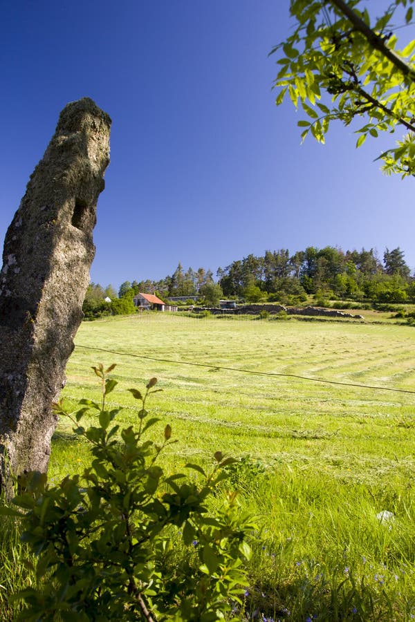 Beatiful Spring Rural Landscape with Blue Sky Stock Photo - Image of ...