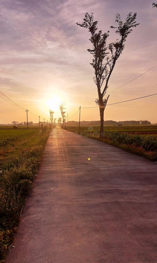 Beatiful Sunset on the Road Stock Photo - Image of sunset, road: 279024106