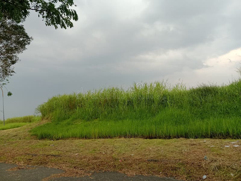 Beatiful View after Rain stock image. Image of natur - 278203637