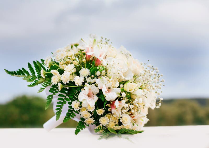 Beau bouquet de fleurs photo stock. Image du blanc, nature - 11000236