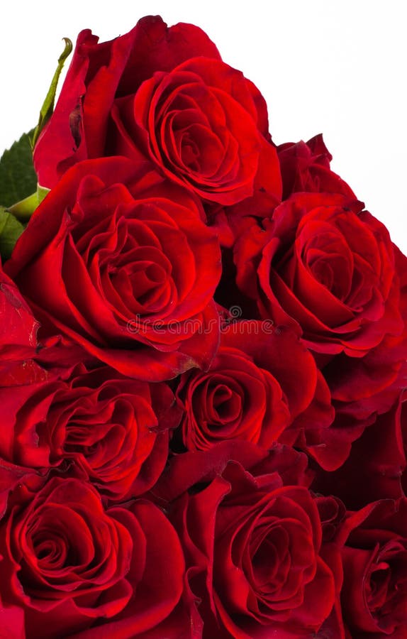 Beau Bouquet Des Roses Rouges Image stock - Image du amour, copie: 35580953