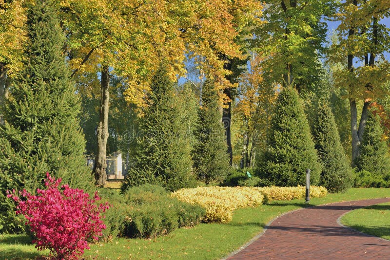 Beau Buisson En Parc D'automne Photo stock - Image du beau, herbe: 46456874