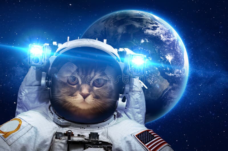Astronaute De Chat Dans L'espace Sur Le Fond Du Globe Image stock ...