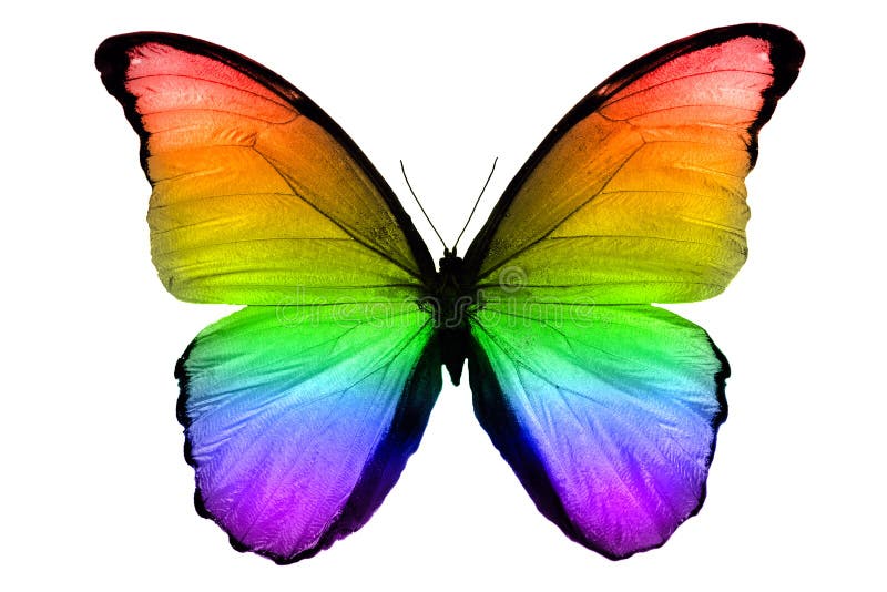 Papillon Multicolore Photos Stock - Téléchargez 3,904 Photos libres de ...