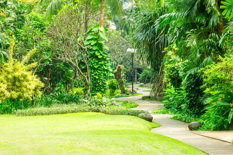 Beau Parc Vert Avec Le Chemin D'enroulement Image stock - Image du ...