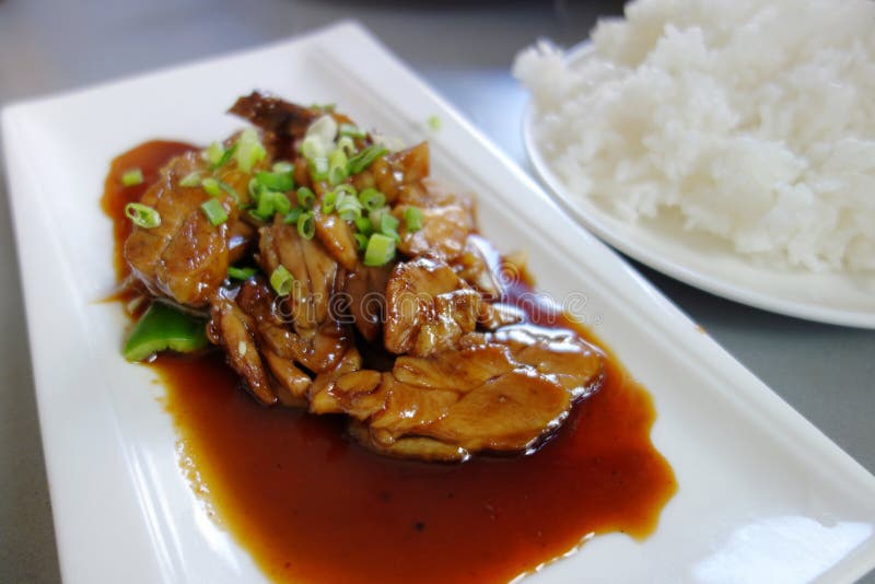 Beau plat chinois image stock. Image du savoureux, assiette - 66709921