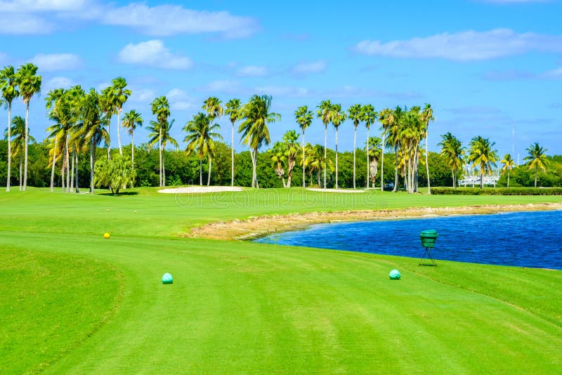 Scernery Vert Naturel De Gazon De Beau Terrain De Golf Photo stock ...