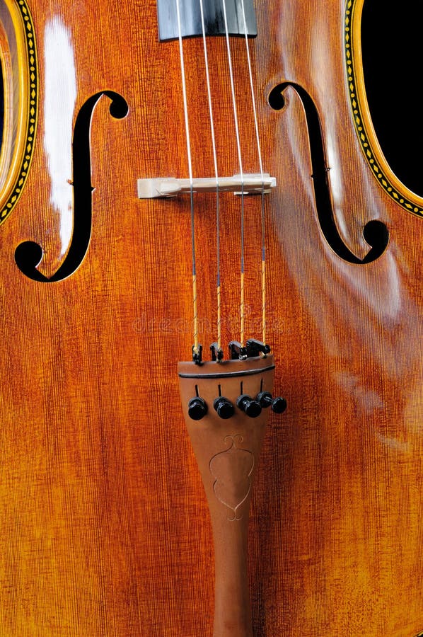Beau Musicien De Violoncelle Image stock - Image du longtemps, soliste ...