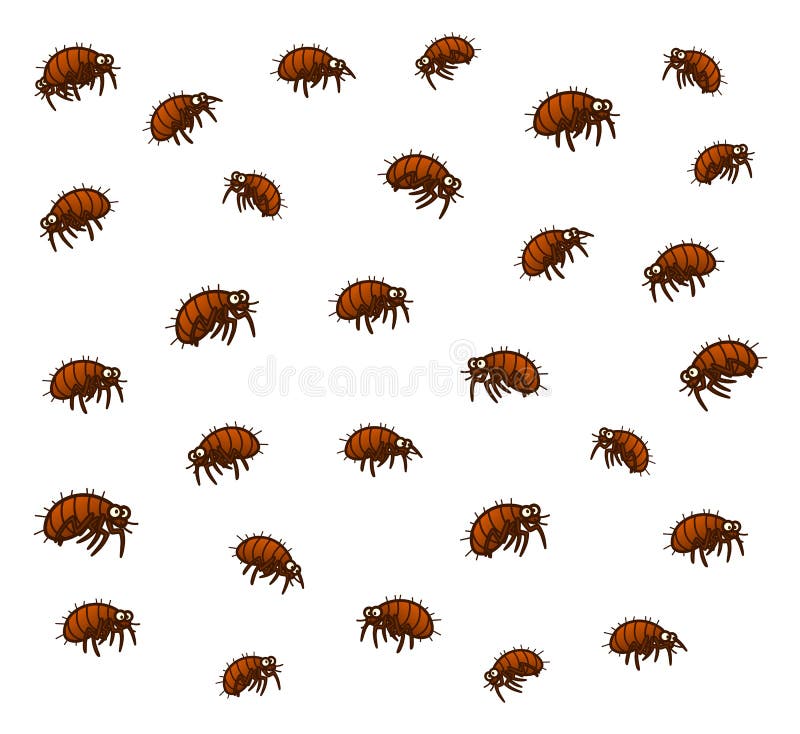 Puce illustration de vecteur. Illustration du illustration - 54840212