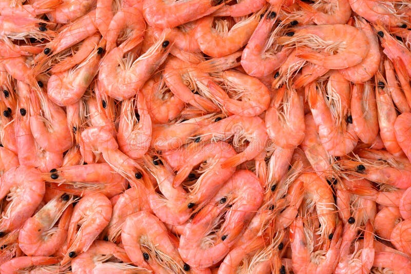 Fermez-vous Vers Le Haut De La Crevette Crue Photo stock - Image du ...