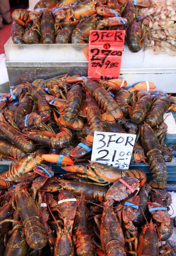 Beaucoup homard rouge photo stock. Image du nourriture - 29124834