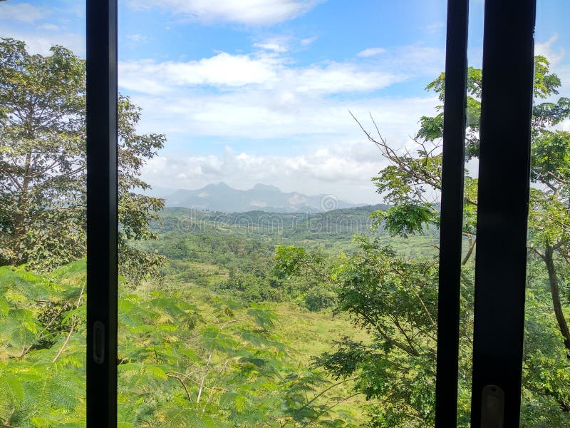 A Beauiful Green Nature in the Window Frame Stock Photo - Image of ...