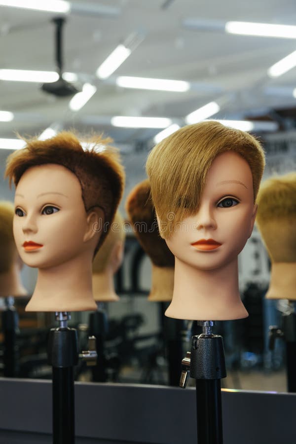 Beautician Model Heads for Practicing in Beauty School Stock Image ...
