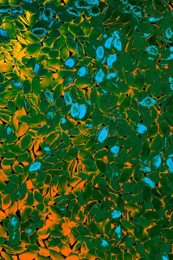 Beautiful Abstract Background for Design. Stock Illustration ...