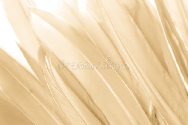 Beautiful Abstract Colorful Yellow and White Feathers on White ...