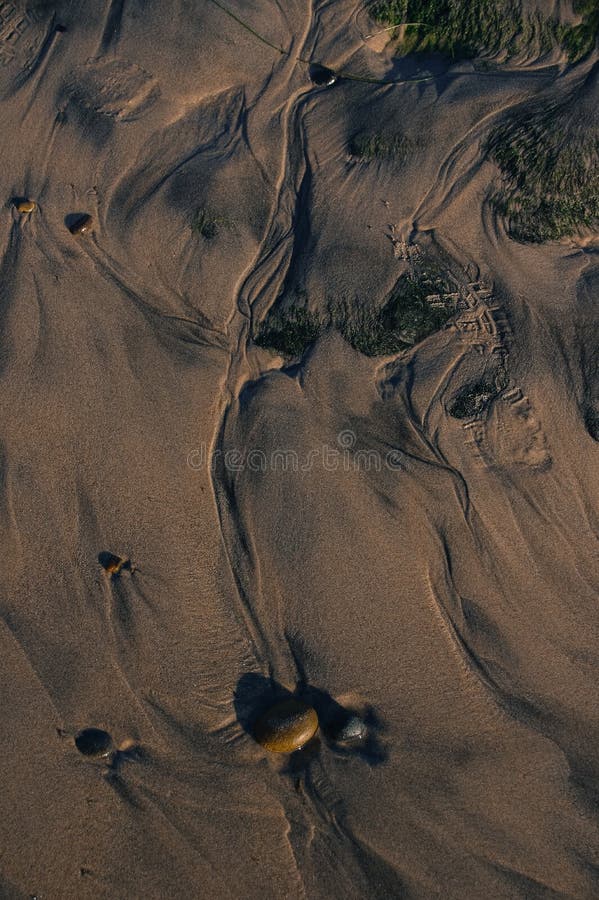 Beach Abstraction Created by the Tide with Shells, Stones, and ...