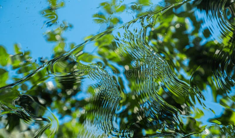 Abstract Nature Reflection in Water. Green Leaves and Distorted. Top ...