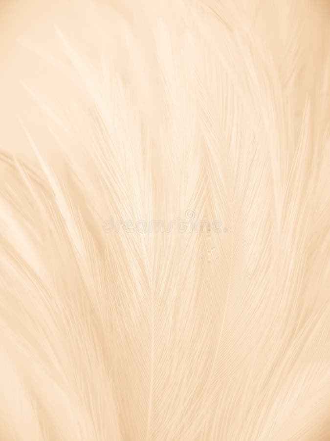 499 Ye Color Stock Photos - Free & Royalty-Free Stock Photos from ...