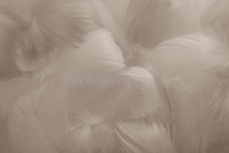 514 Ye Color Stock Photos - Free & Royalty-Free Stock Photos from ...