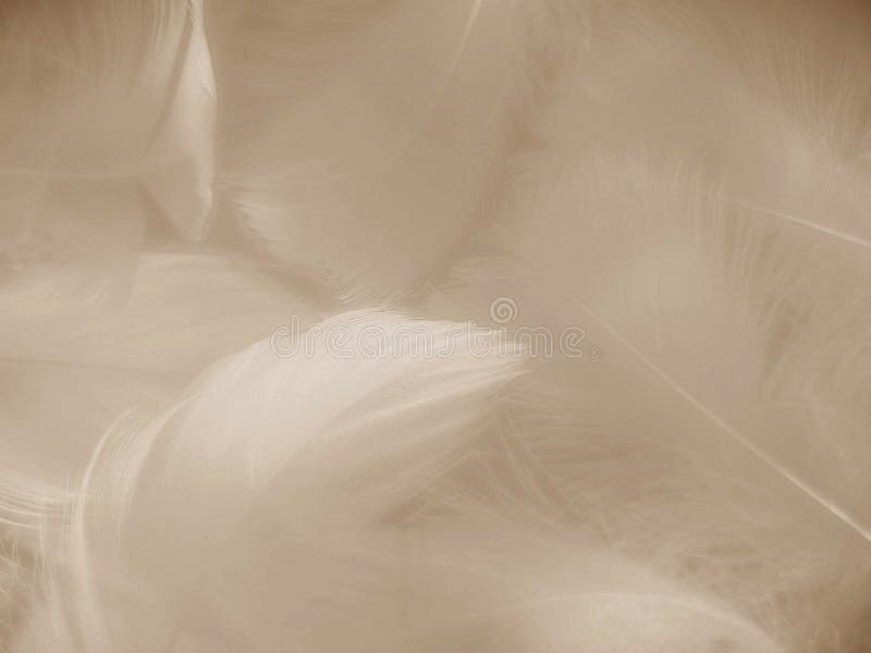 499 Ye Color Stock Photos - Free & Royalty-Free Stock Photos from ...