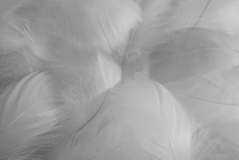 514 Ye Color Stock Photos - Free & Royalty-Free Stock Photos from ...