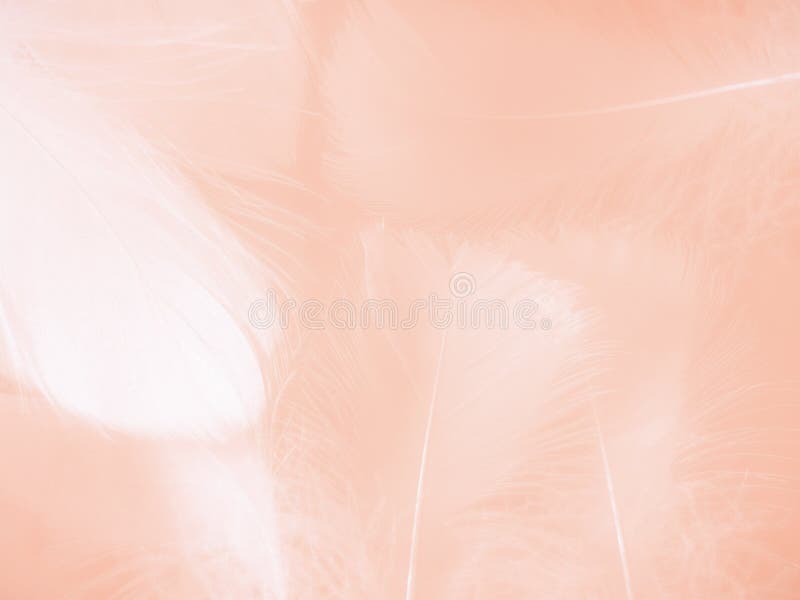 503 Ye Color Stock Photos - Free & Royalty-Free Stock Photos from ...