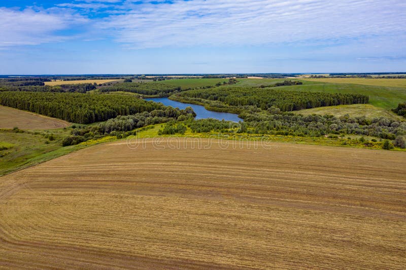 Aerial Scenery of Forest Lake from a Drone Flying Forward Stock Image ...