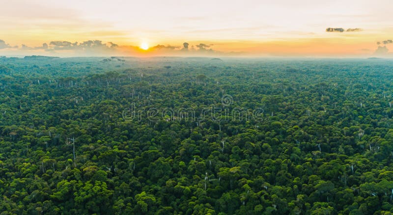 Beautiful Aerial View of the Amazon Jungle, Forested Area in High ...