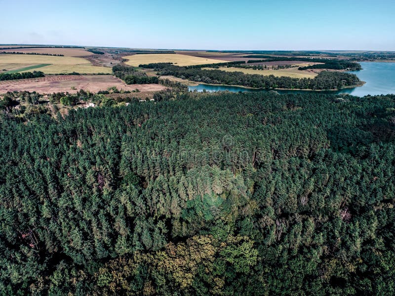 Beautiful Aerial View of Forest and Fields on the Background Stock ...