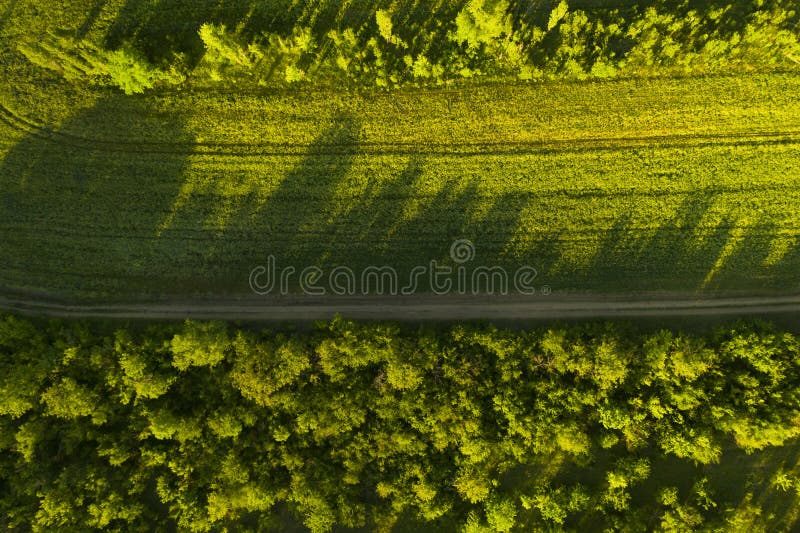 Beautiful Aerial View of Green Field and Empty Road Stock Photo - Image ...