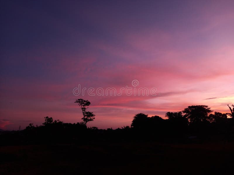 Beautiful and Aesthetic Morning Sky with Pink Clouds and Beautiful Blue ...