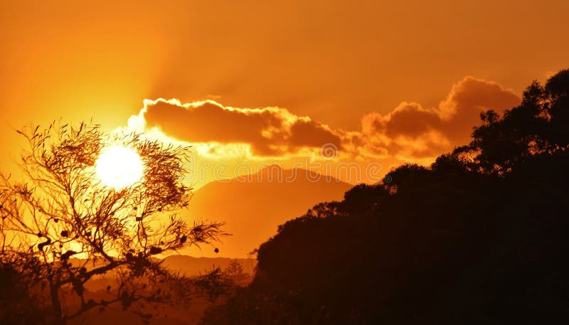 Beautiful african sunset stock photo. Image of sunset - 76501682