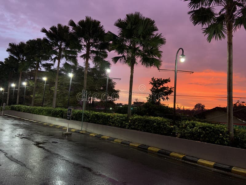 Beautiful Afternoon Sky with Trees after Rain. Violet and Orange Colors ...