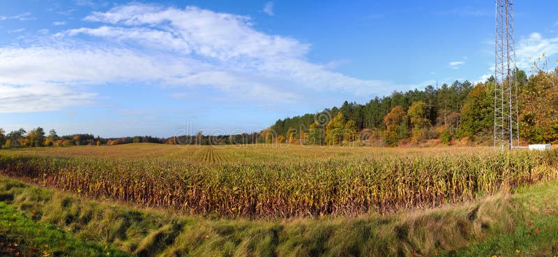 Beautiful Agricultural Farm by the Trees Stock Photo - Image of natural ...