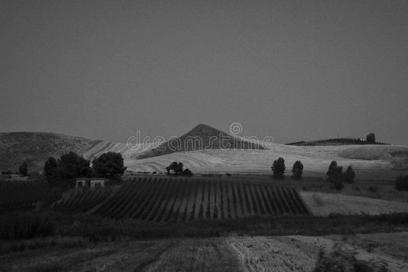 Beautiful Agricultural Field in Black and White Stock Image - Image of ...
