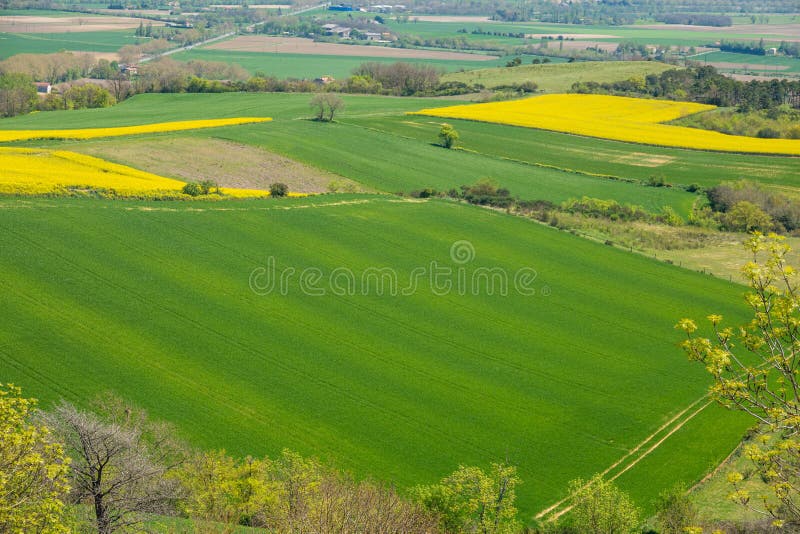 Beautiful Agricultural Fields Stock Image - Image of beautiful, rural ...