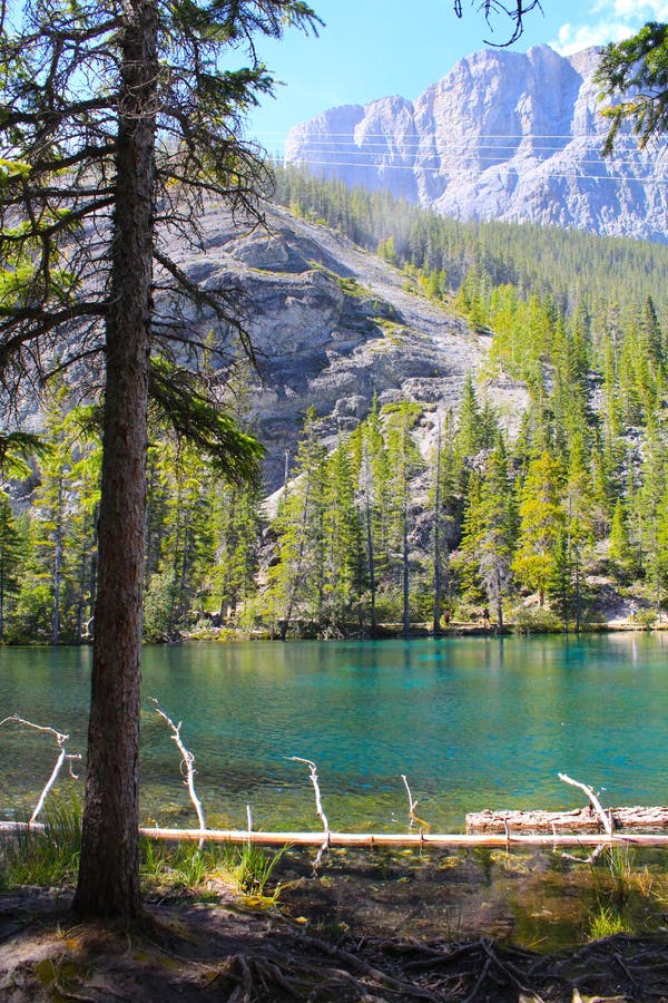 Beautiful alberta scene stock photo. Image of calgary - 106699834