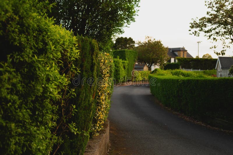 Beautiful alley in England stock photo. Image of traditional - 247268348
