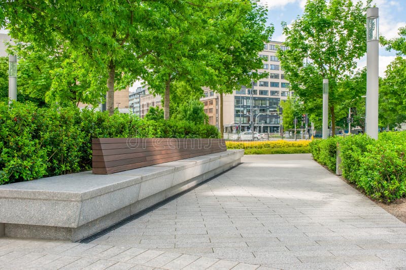 Beautiful Alley with Many Trees in City Stock Photo - Image of ecology ...