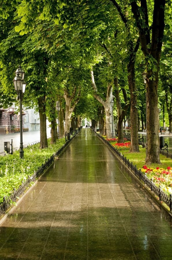 Beautiful alley in Odessa stock photo. Image of lane - 16759848