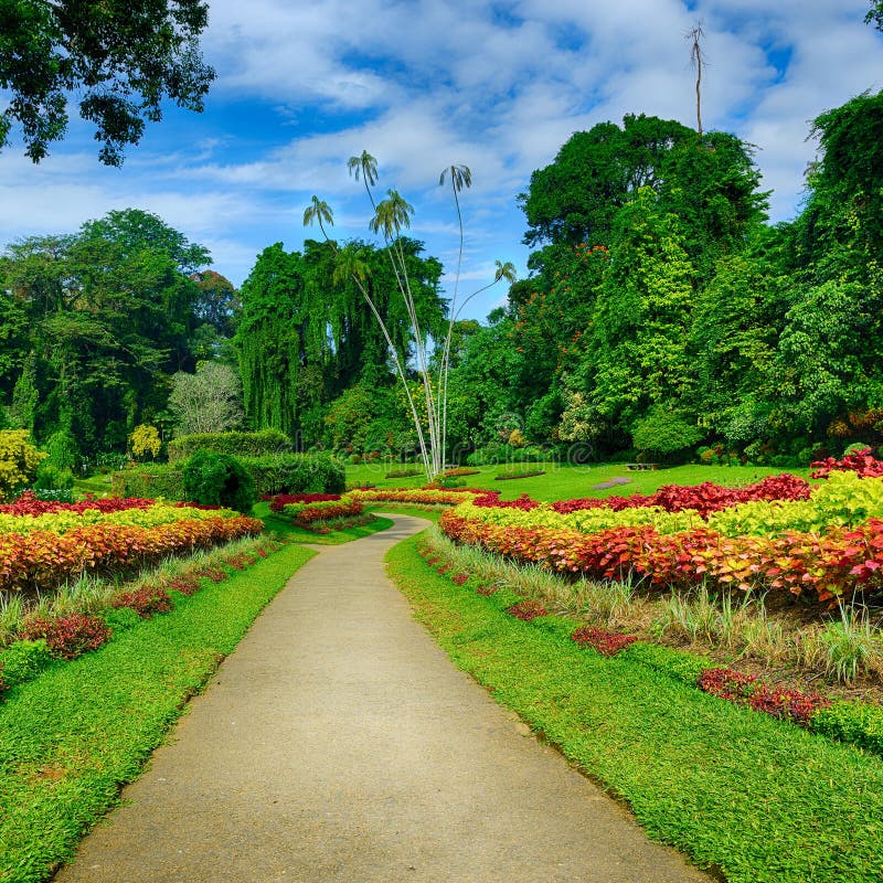 Beautiful Garden of Colorful Flowers on Hill Stock Image - Image of ...