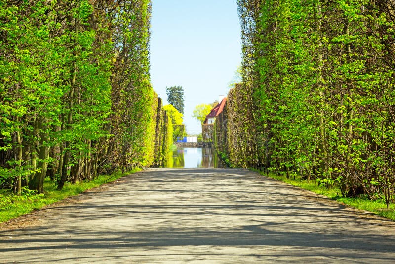 Beautiful Alley with Empty Bench in the Park Stock Image - Image of ...