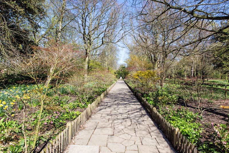 Beautiful Alley in the Park Stock Image - Image of outdoor, solitude ...