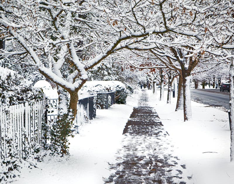Beautiful Alley in Snowy Day Stock Photo - Image of landscape, nature ...