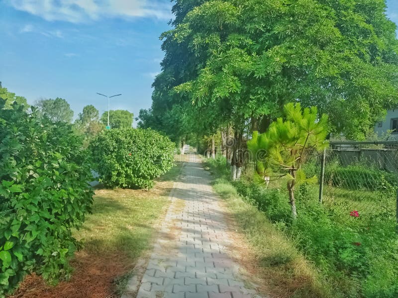 Beautiful Alone Road|Alone Pathway Stock Image - Image of road, alone ...