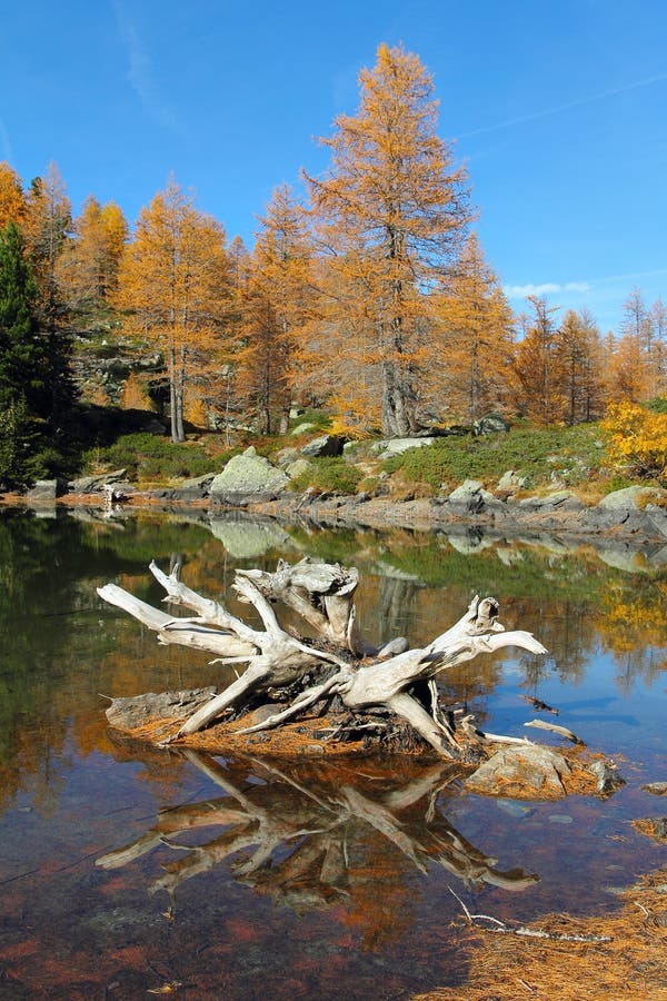 Beautiful Alpine Lake in Autumn Stock Image - Image of mountain ...